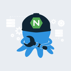 How to install and configure NGINX with Octopus Deploy - Octopus Deploy
